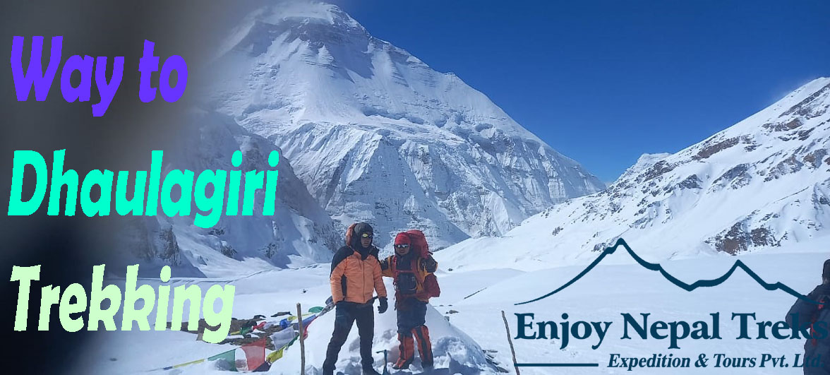 Dhaulagiri Circuit Trek with Porter and Guide: Cost & Permit info